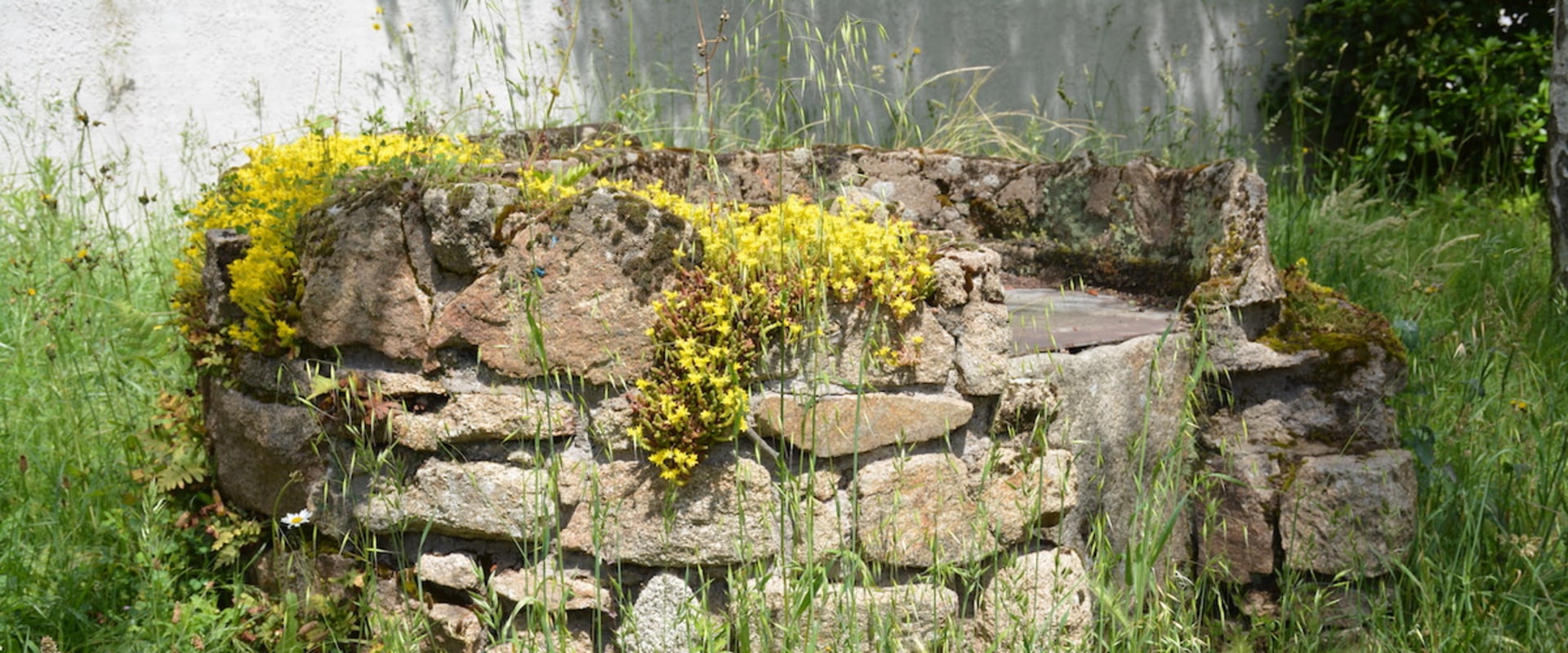 How to Effectively Get Rid of Rocks and Gravel in Orlando, FL